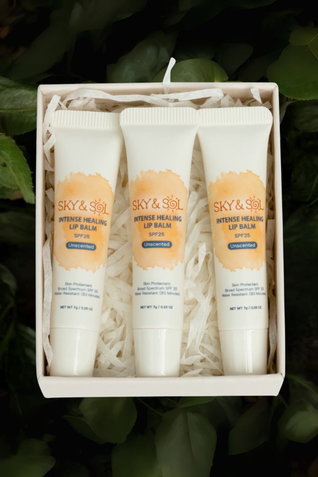 Sky and Sol Lip Jelly SPF 25, All Natural and Edible-Grade Ingredients ...